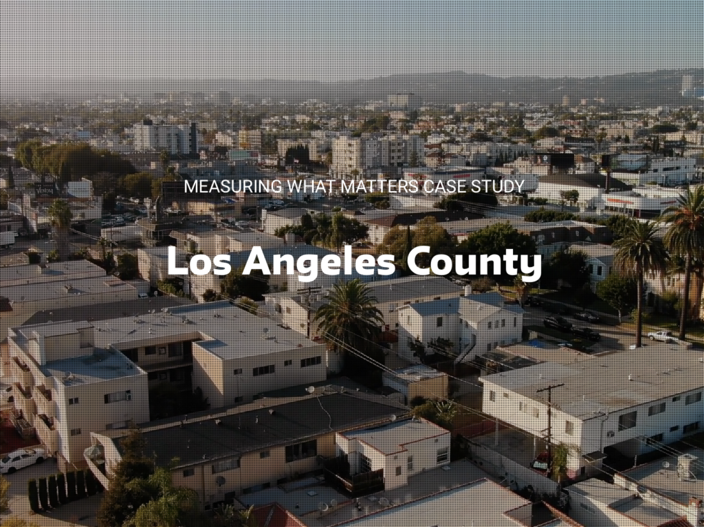 Measuring What Matters - LA Case Study - Institute on Race, Power and ...